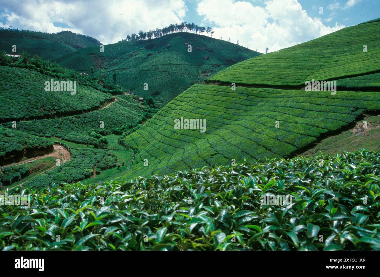 Western Ghats Mountains