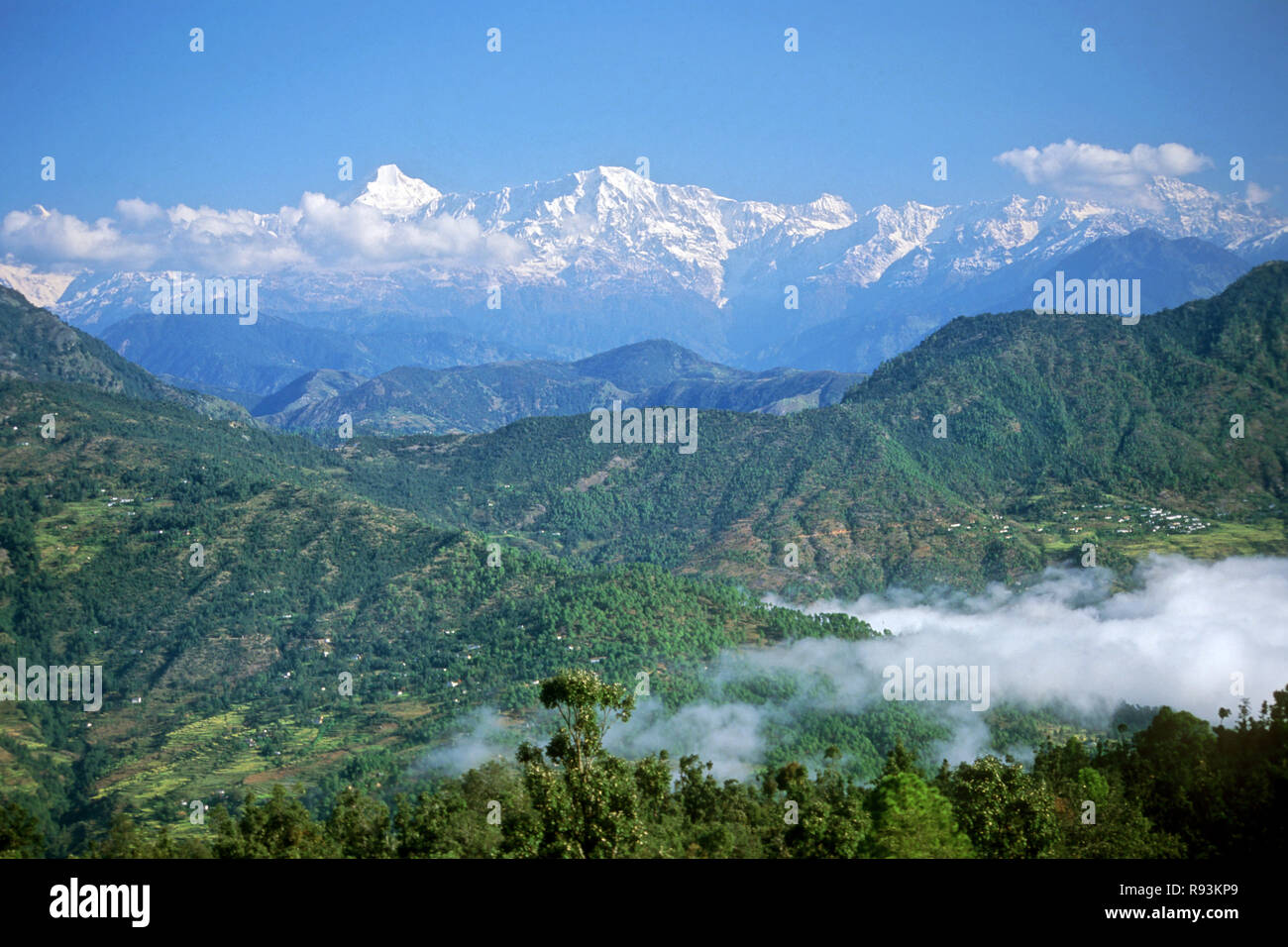 Chaukori, hill station, Pithoragarh district, Garhwal, Kumaon, Uttar ...