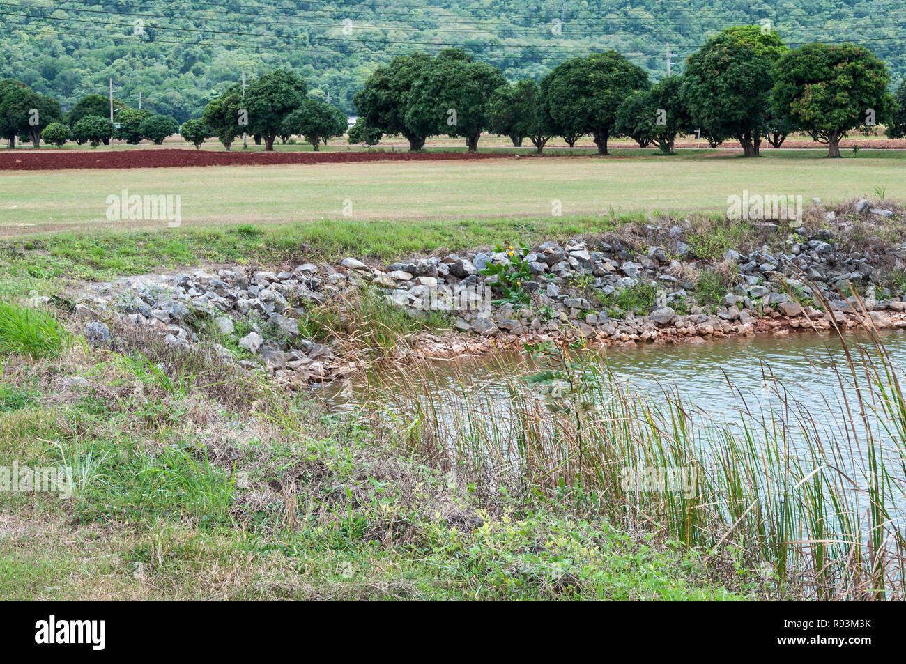Small reservoir for use in the countryside farm and botanical garden ...