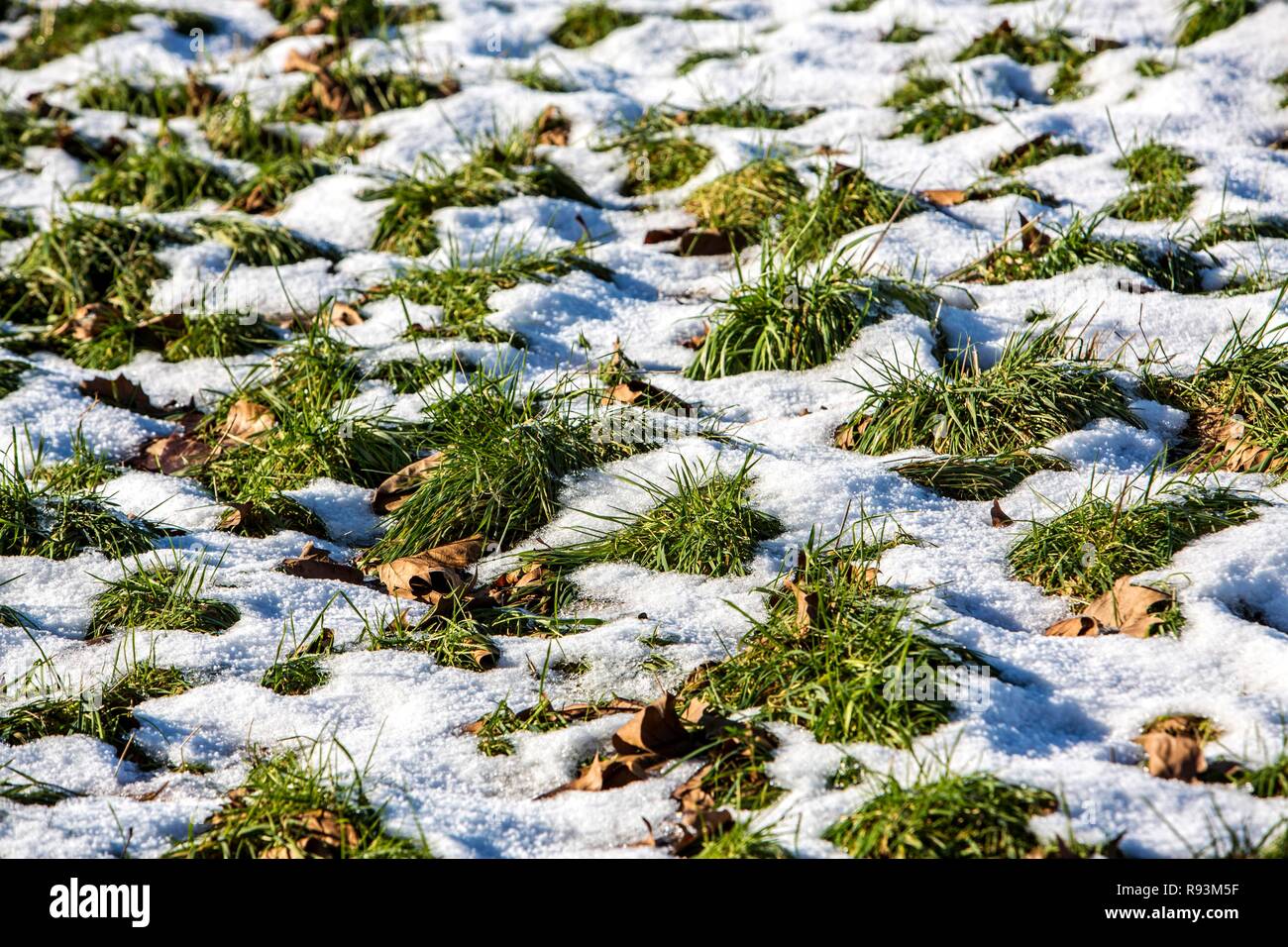 Thaw Stock Photos & Thaw Stock Images - Alamy