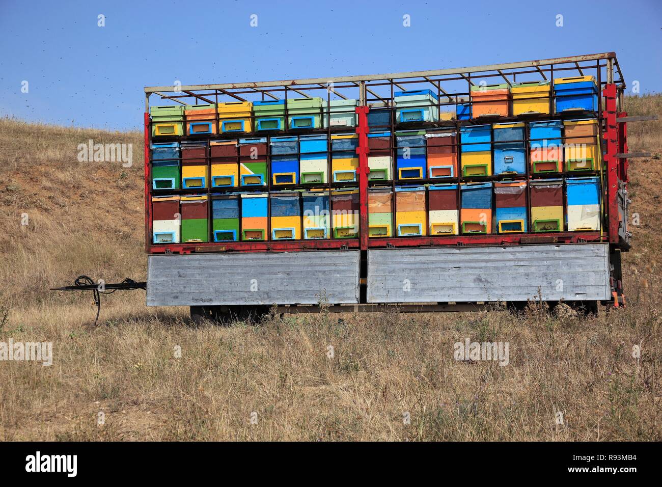 Trailer with bee hives, Dacia, Transylvania, Romania Stock Photo - Alamy