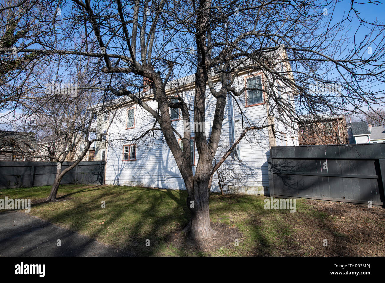 Tree and house Stock Photo - Alamy