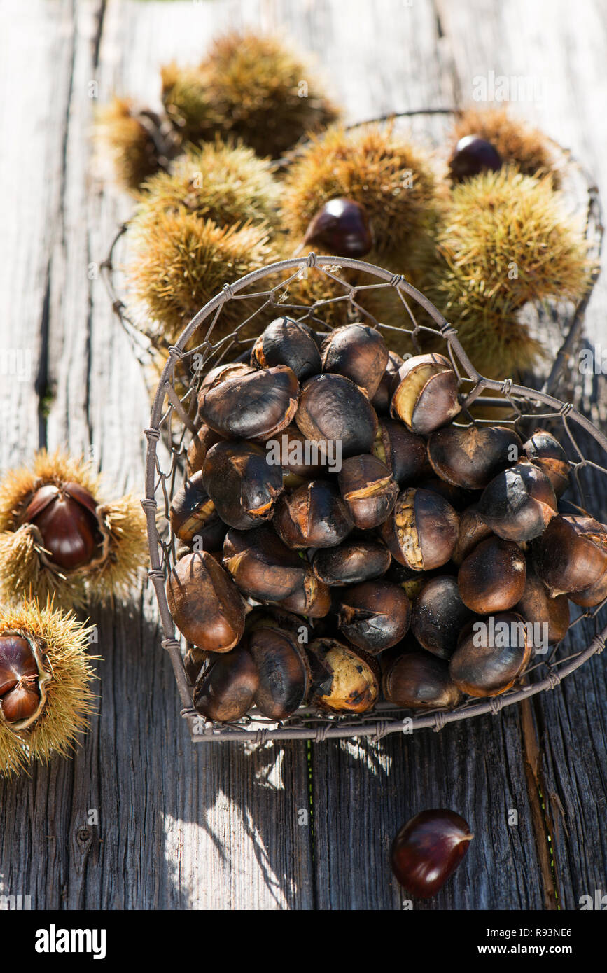 Burnt chestnuts hi-res stock photography and images - Alamy