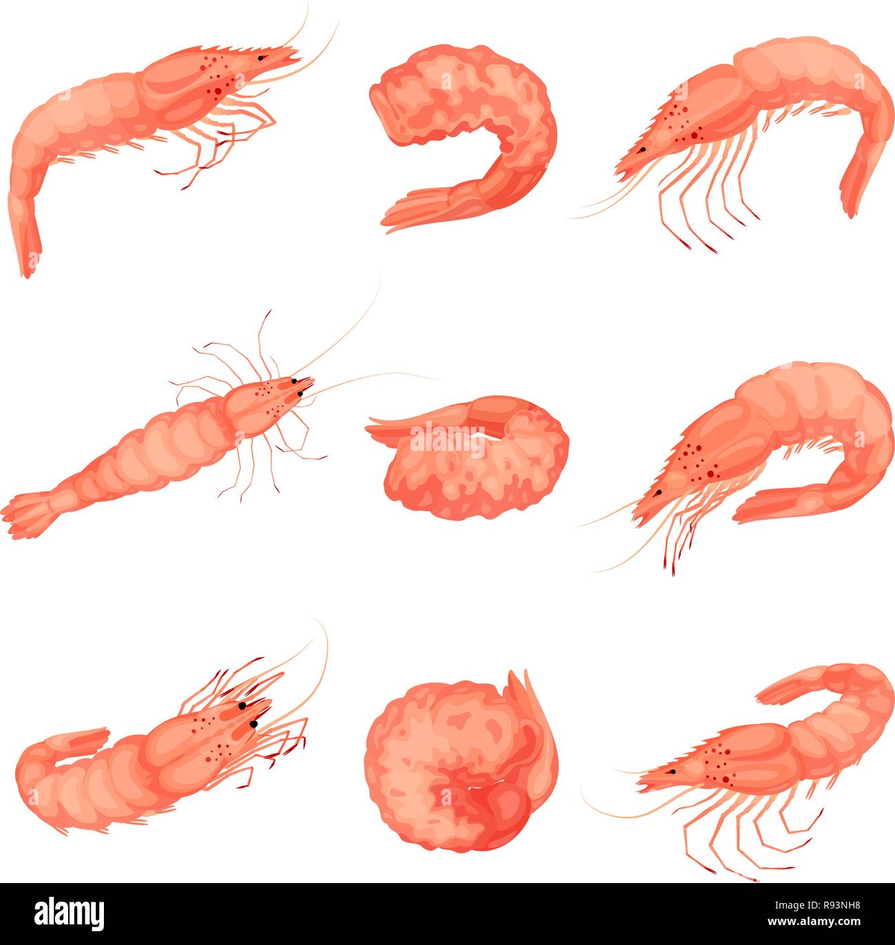Shrimp icon set. Cartoon set of shrimp vector icons for web design ...