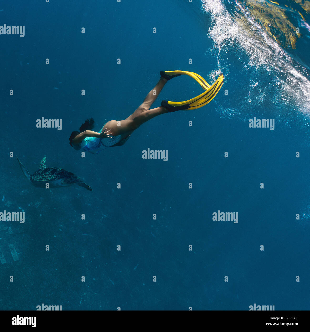 Seychelles turtle snorkel hi-res stock photography and images - Alamy