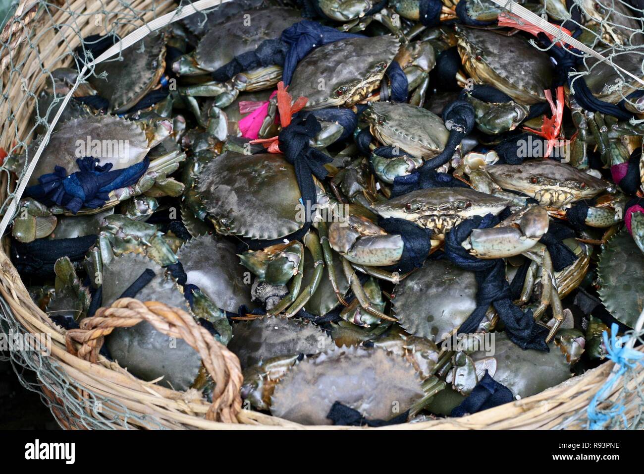 Live crabs hi-res stock photography and images - Alamy