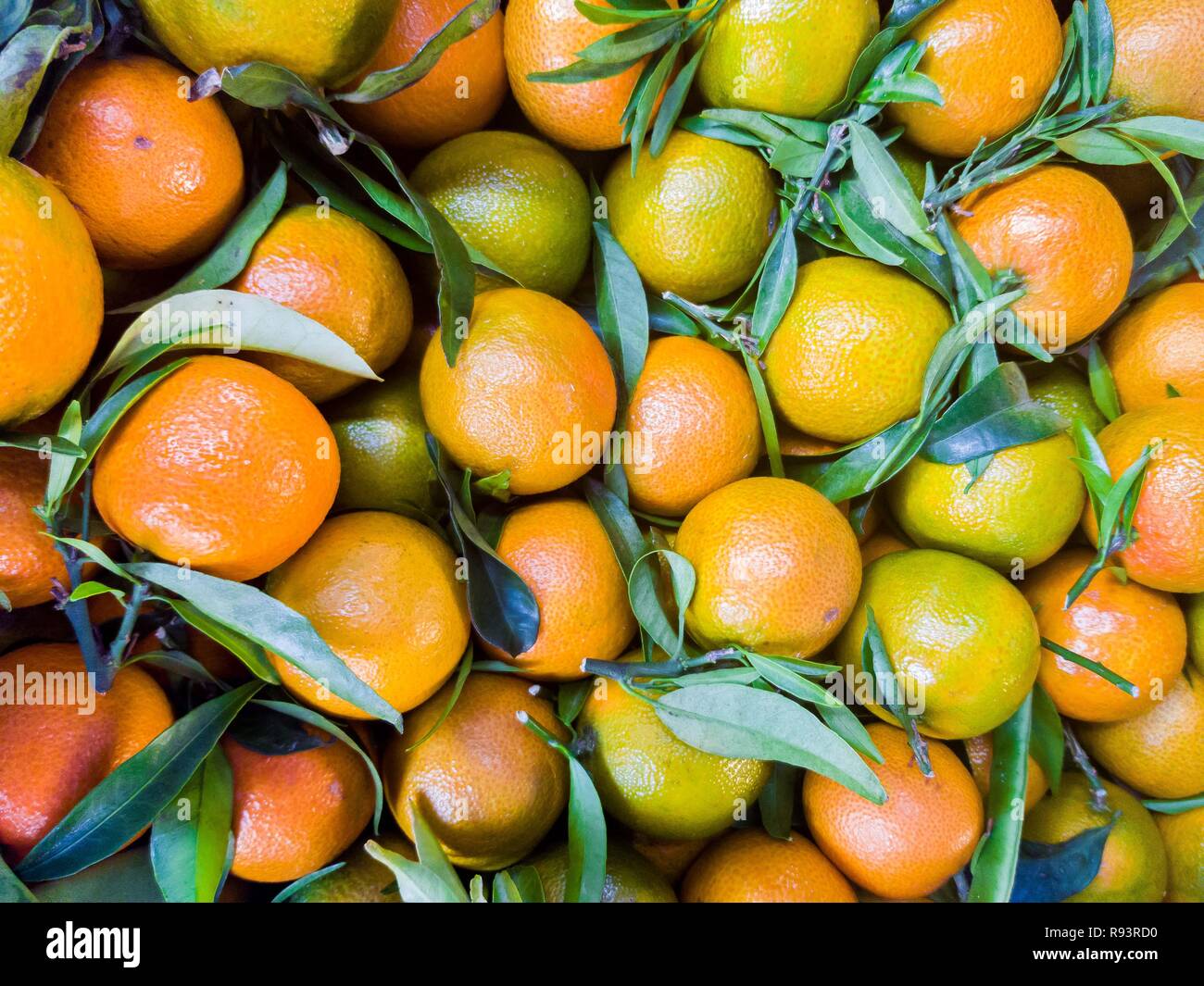 Close up picture of a bunch of oranges with the leaves in the market ...
