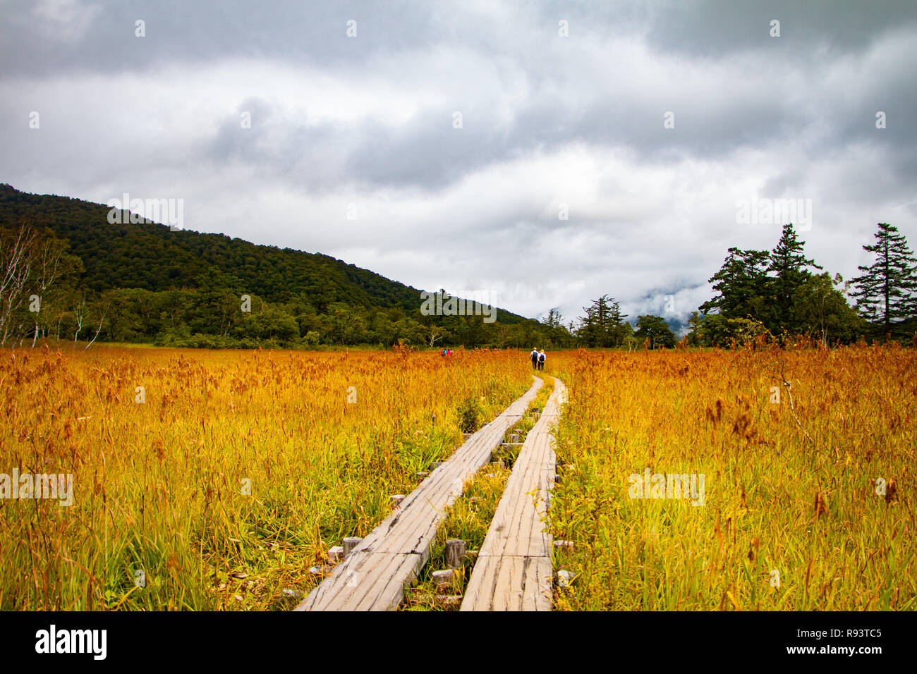 Oze national park japan hi-res stock photography and images - Alamy