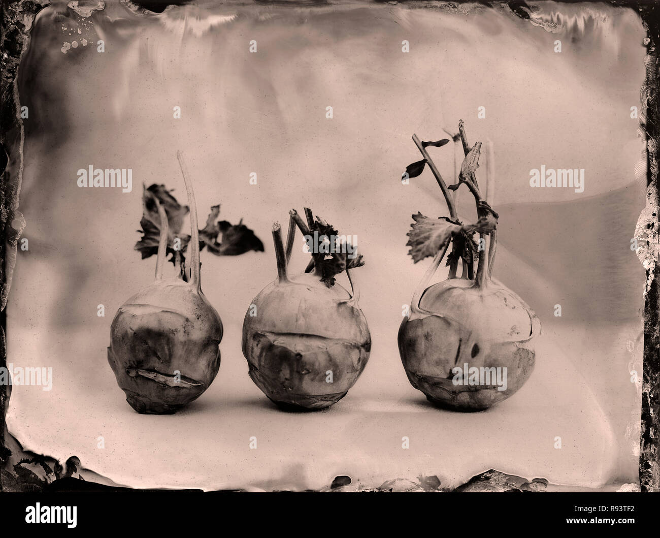 Wet collodion process hi-res stock photography and images - Alamy