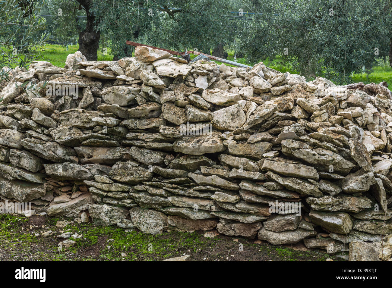 Grove with stone wall hi-res stock photography and images - Alamy