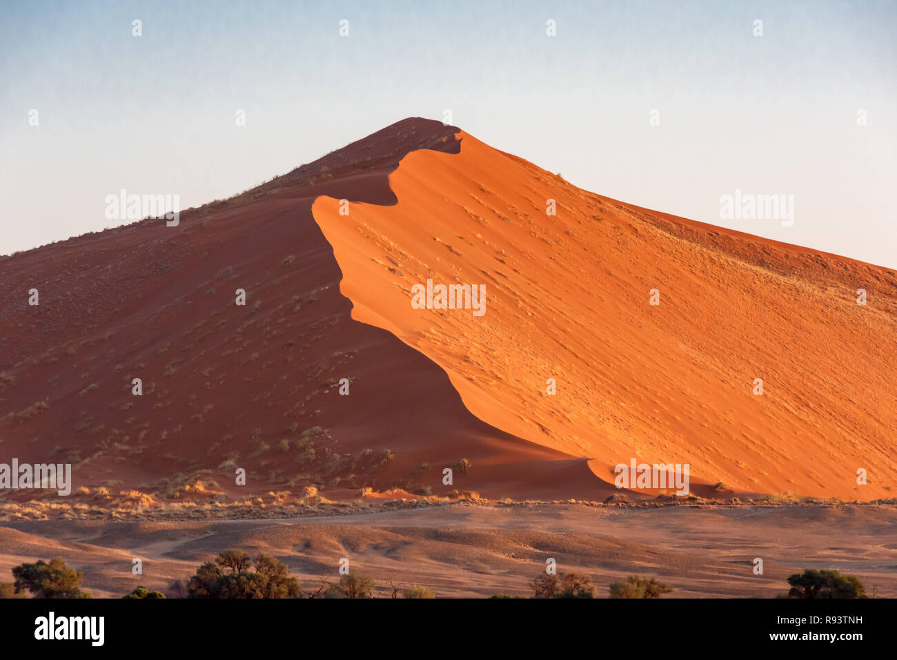 Big Daddy dune in Sossusvlei in the heart of Namibia, Africa Stock ...