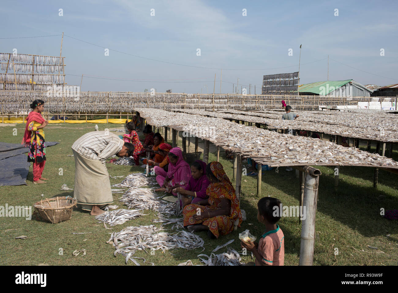 Workers processing fish to be dried at Nazirartek Dry Fish Plant in Cox ...