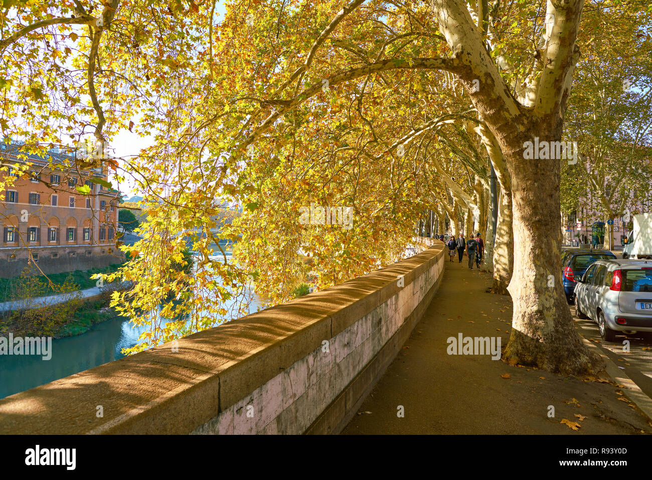 ROME, ITALY - CIRCA NOVEMBER, 2017: Rome urban landscape. Rome is the ...
