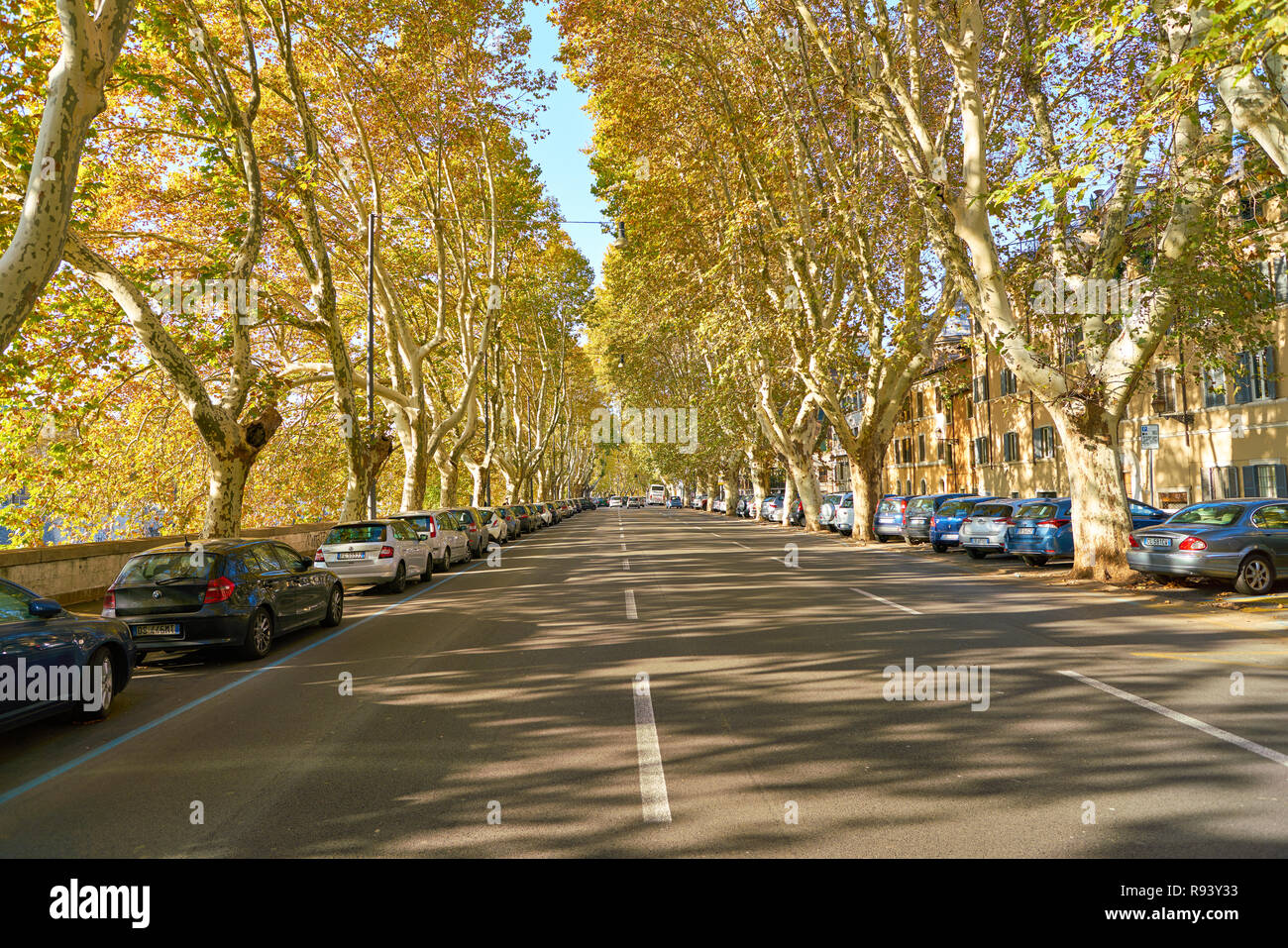 ROME, ITALY - CIRCA NOVEMBER, 2017: Rome urban landscape. Rome is the ...