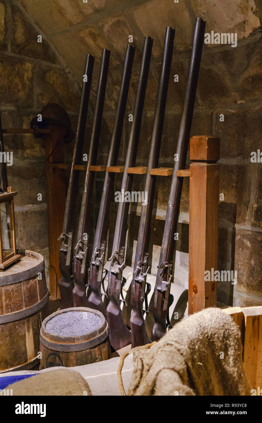 Antique muskets in the armory room Stock Photo - Alamy