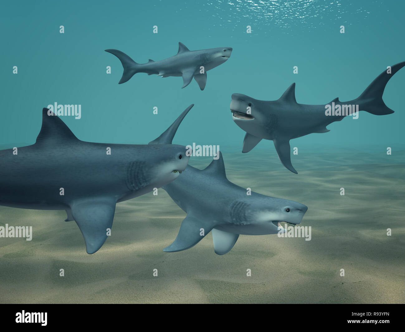 3d sharks, floating at ocean Stock Photo - Alamy