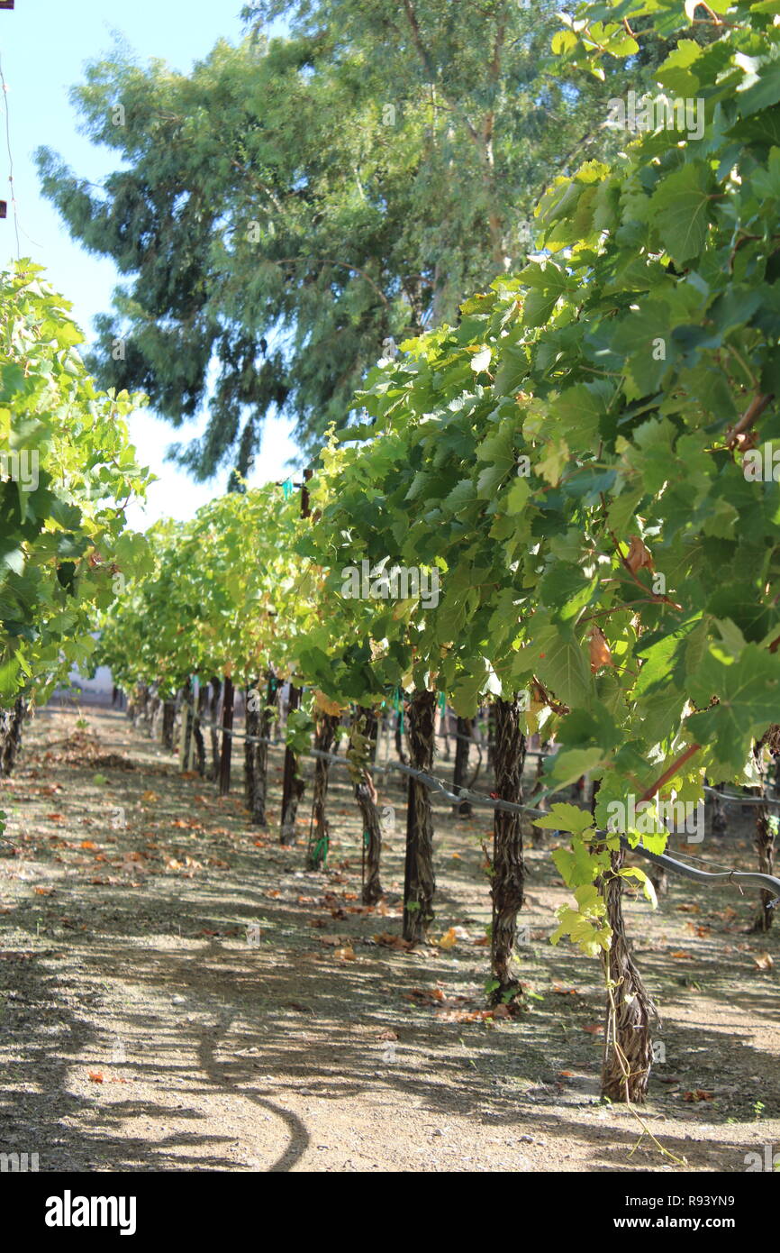 Pahrump nevada hi-res stock photography and images - Alamy