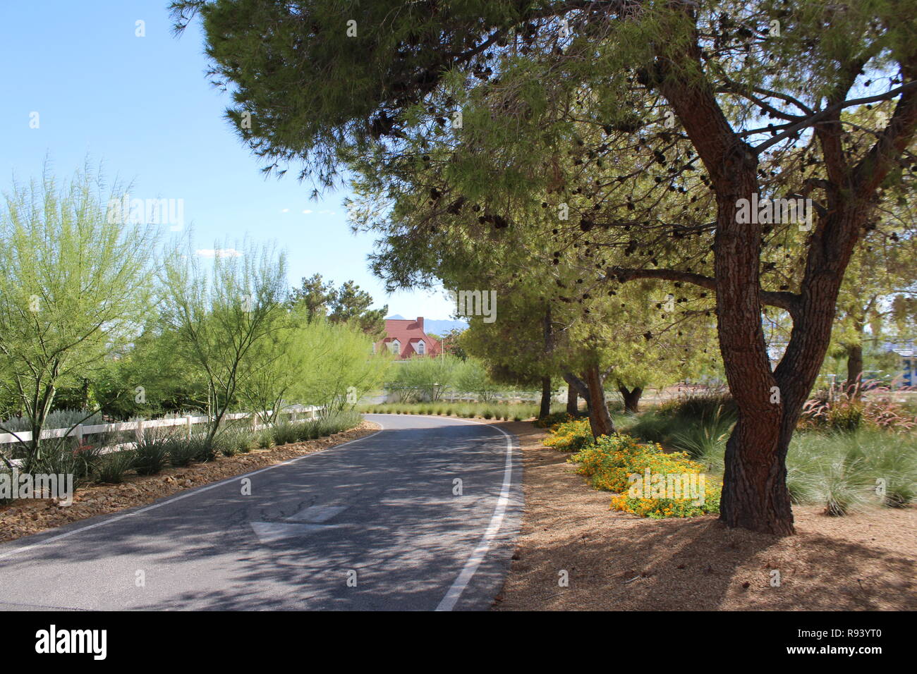 Pahrump nevada hi-res stock photography and images - Alamy