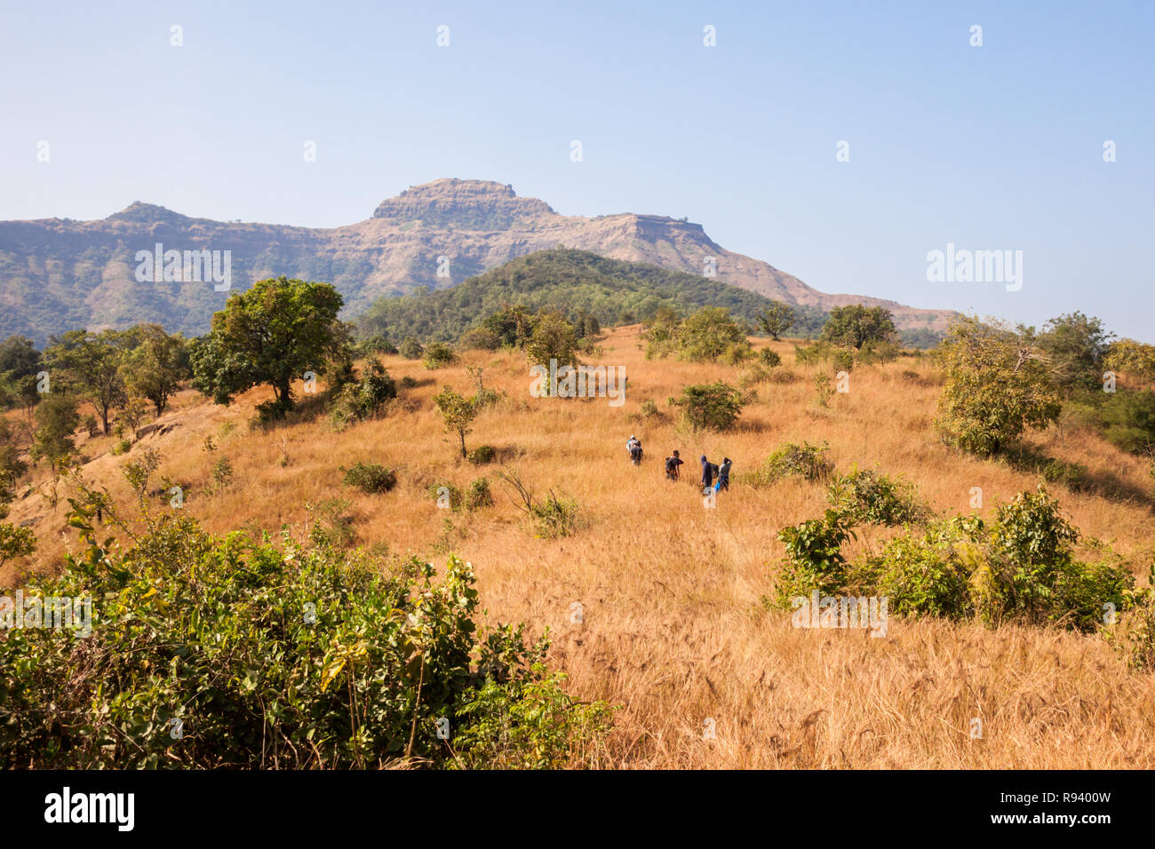 Rajgadh Fort near Pune, Maharashtra, India Stock Photo - Alamy