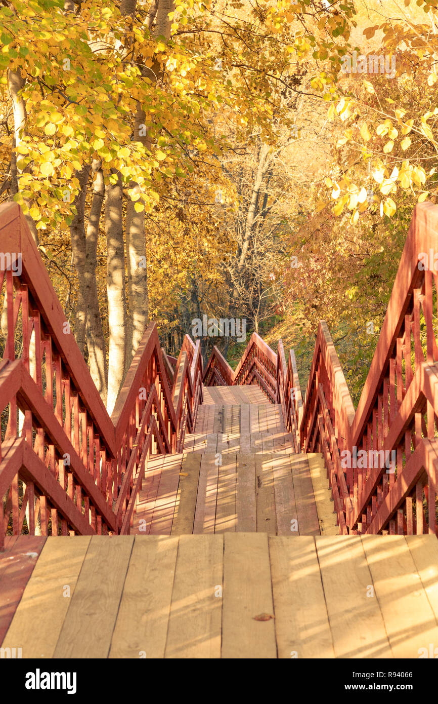 Hiking pathway wth wooden stairs in an autumn forest Stock Photo - Alamy