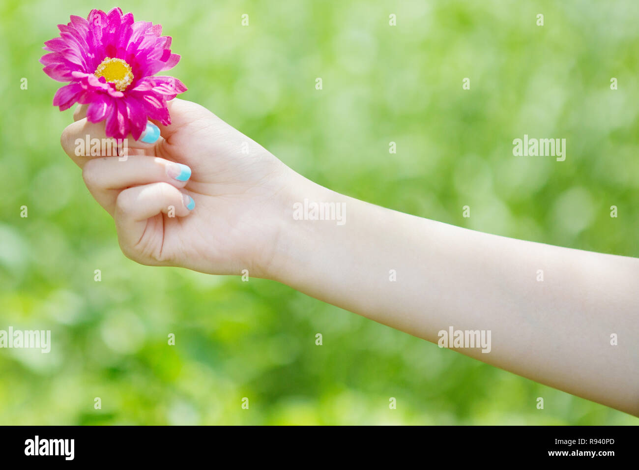 hand holding flowers in the green background Stock Photo - Alamy