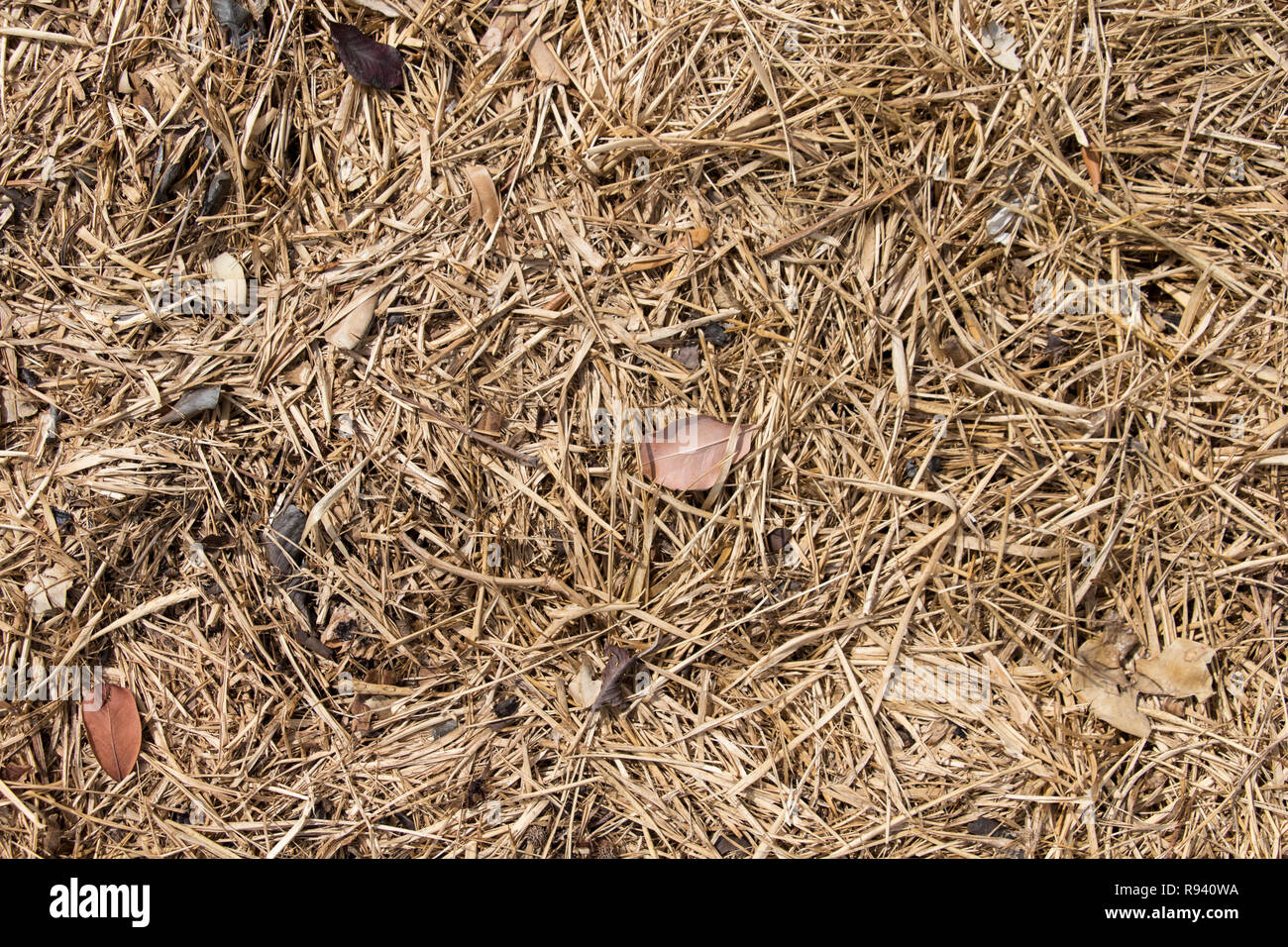 dry straw background, dirty straw texture Stock Photo - Alamy