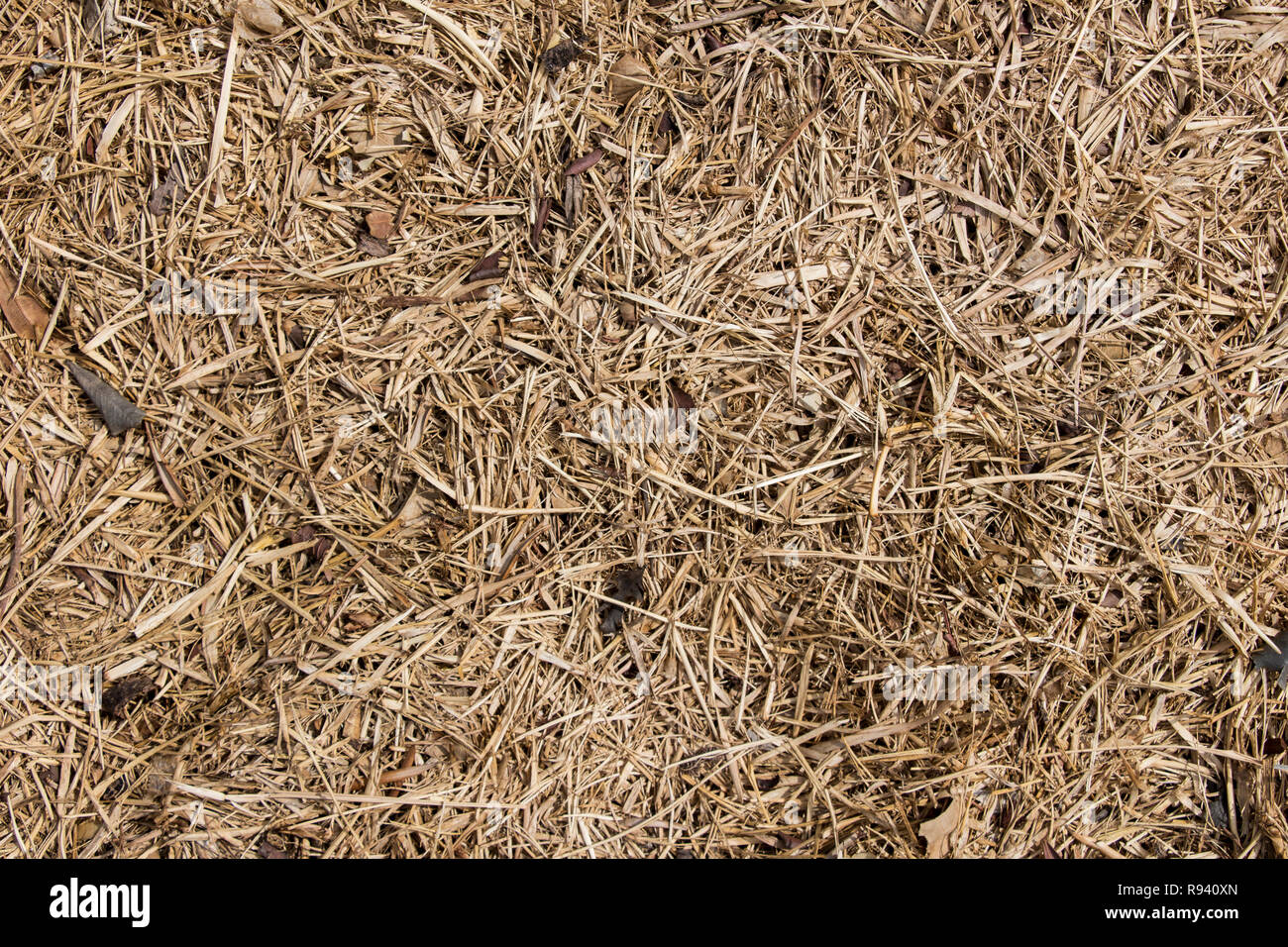dry straw texture, dirty straw background Stock Photo - Alamy