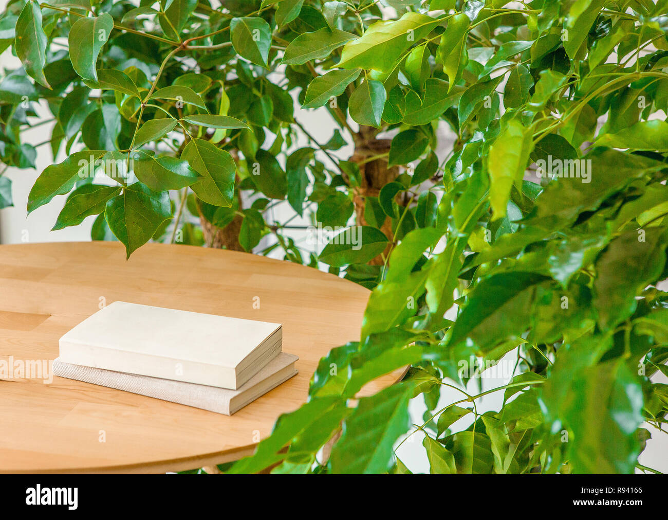 the wooden desk and the book beside the green leaves Stock Photo - Alamy