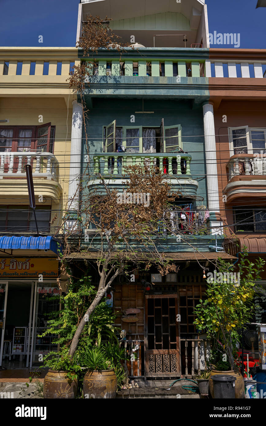Climbing plant rising from a ground level pot to cover a three floor ...