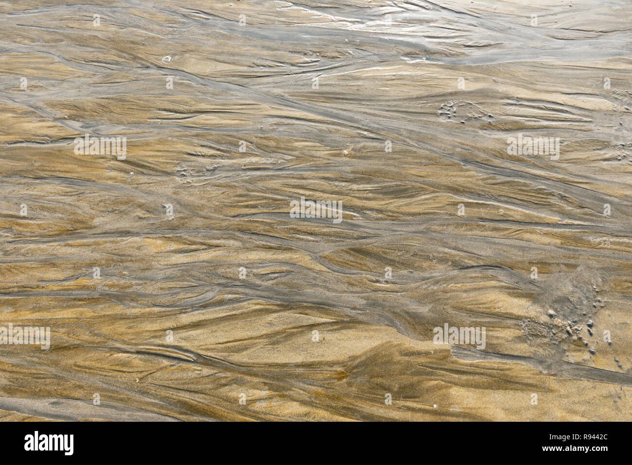 ripple marks on a sand beach Stock Photo - Alamy