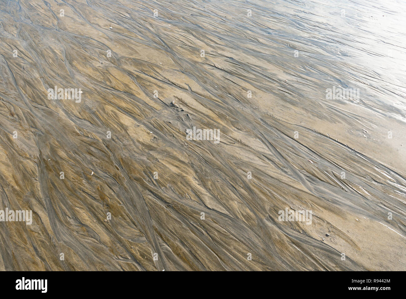 ripple marks on a sand beach Stock Photo - Alamy