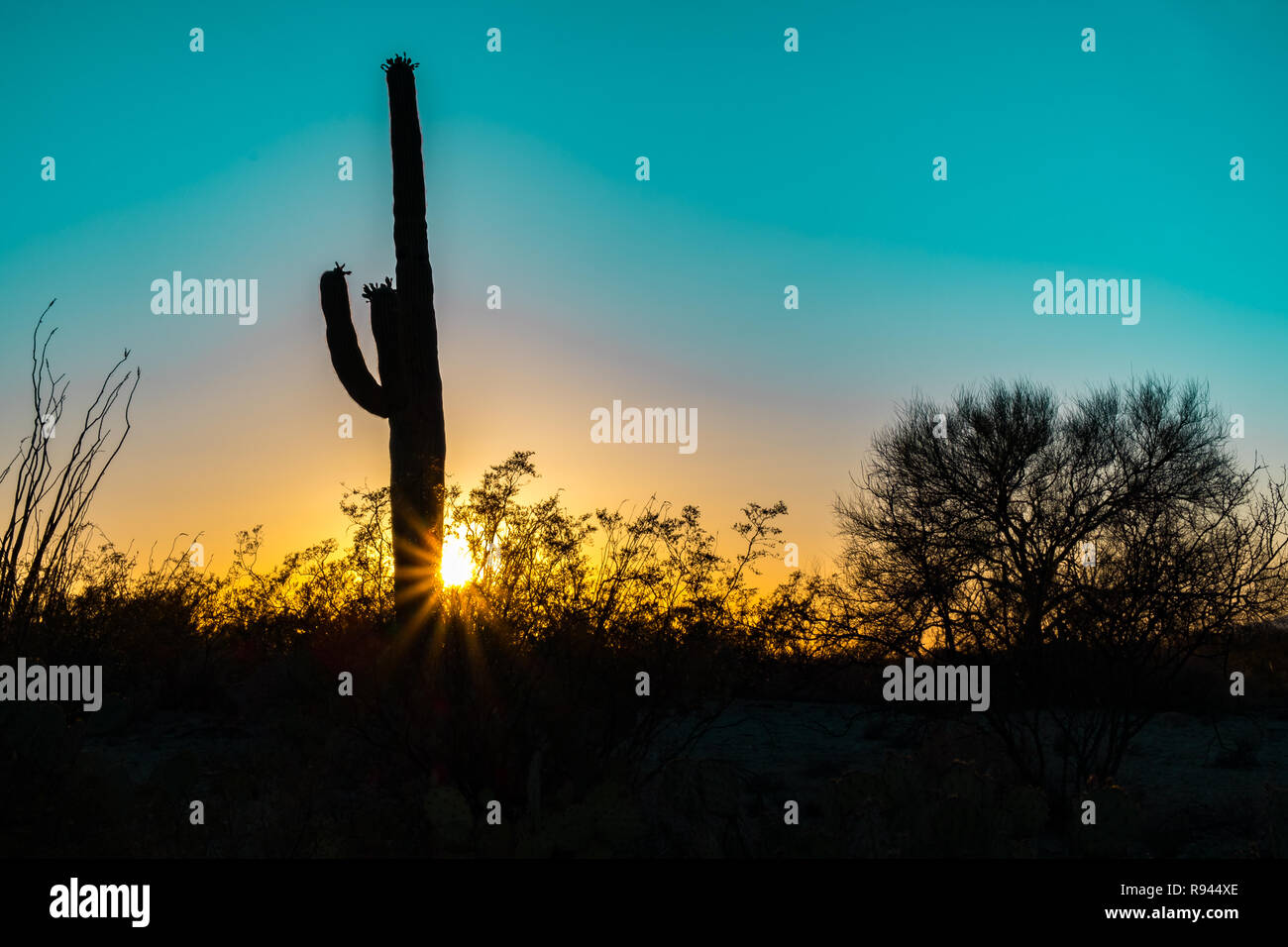 Desert southwest silhouette hi-res stock photography and images - Alamy