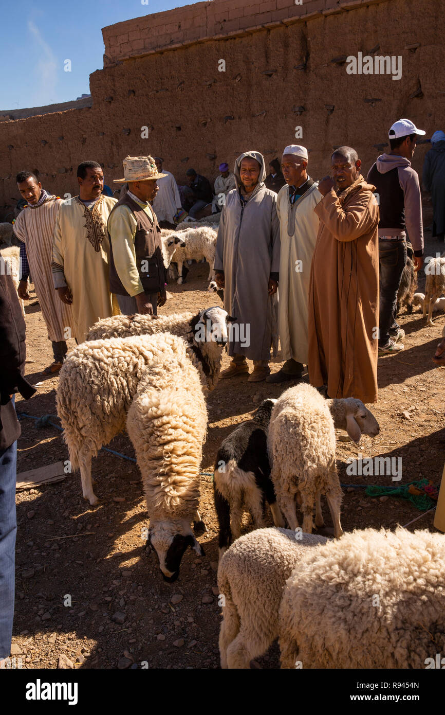 Selling sheep hi-res stock photography and images - Alamy