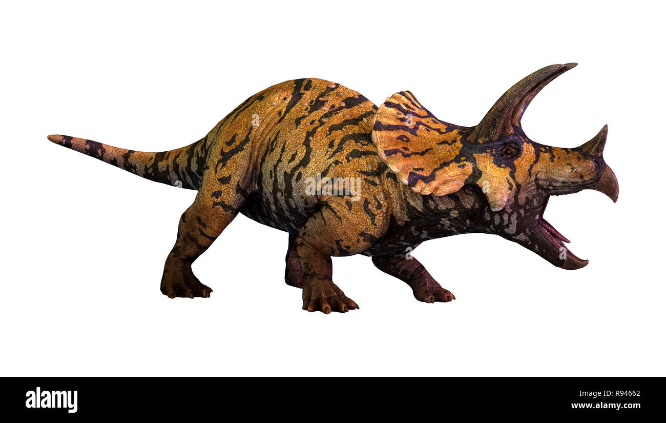 3D rendering of a dinosaur Triceratops isolated on white background ...
