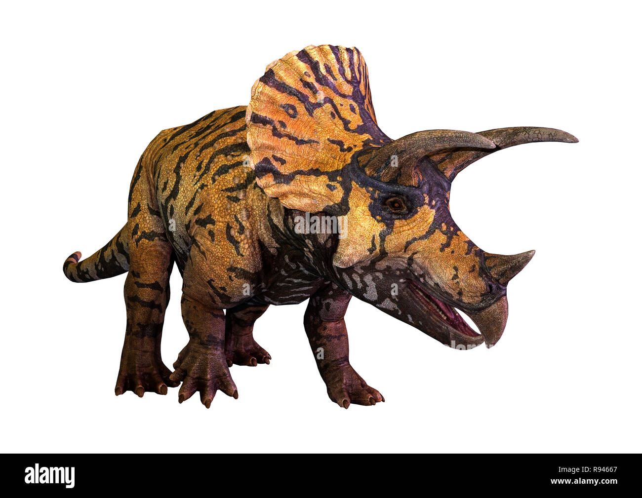 3D rendering of a dinosaur Triceratops isolated on white background ...