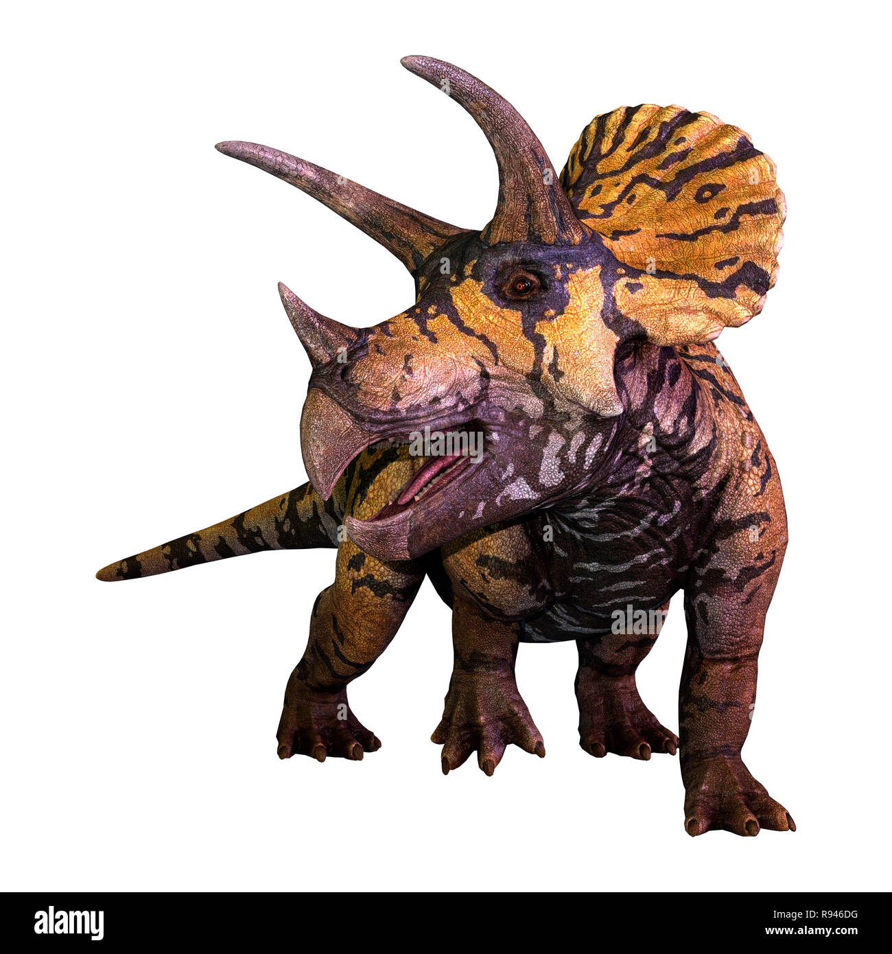 3D rendering of a dinosaur Triceratops isolated on white background ...