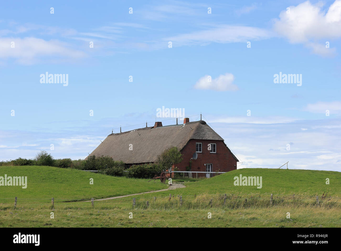 Path to a thatched roof house on the small island Hallig Groede in ...