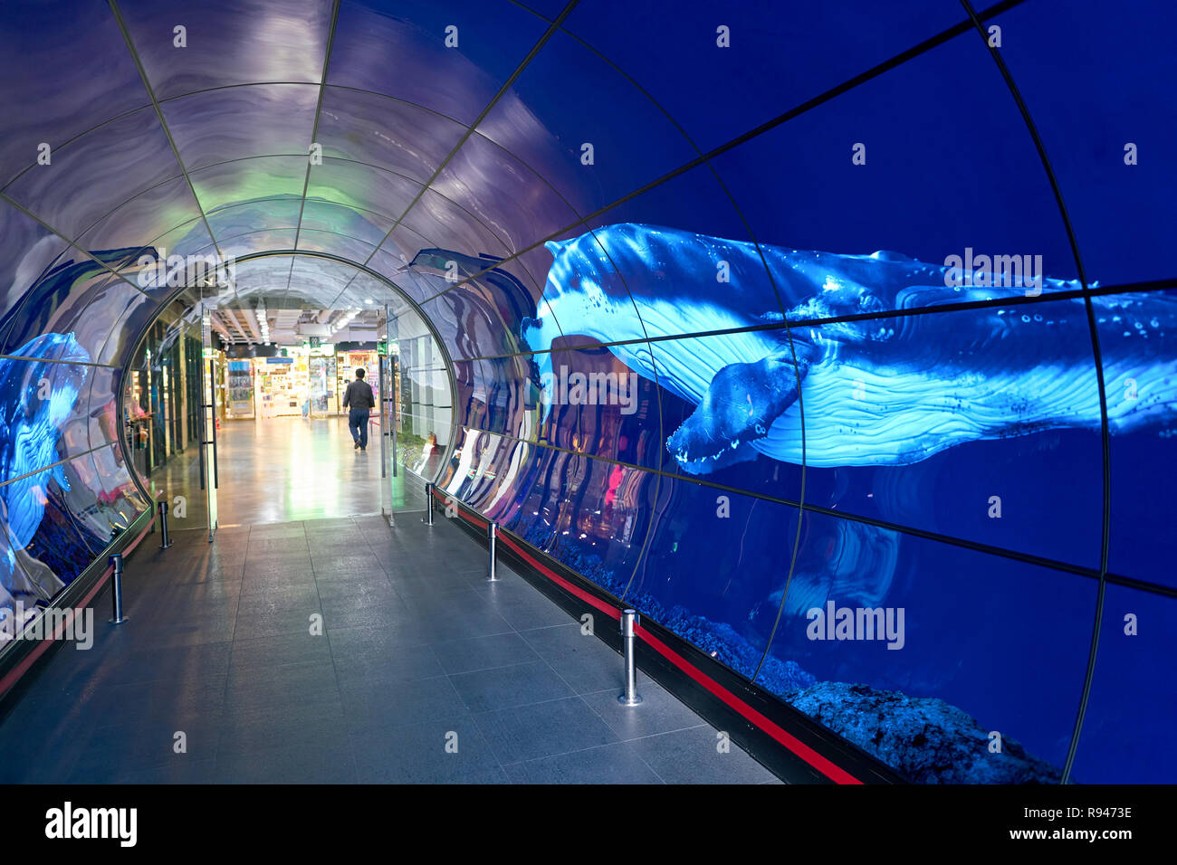 SEOUL, SOUTH KOREA - CIRCA JUNE, 2017: Namsan Seoul Tower 1F- OLED ...