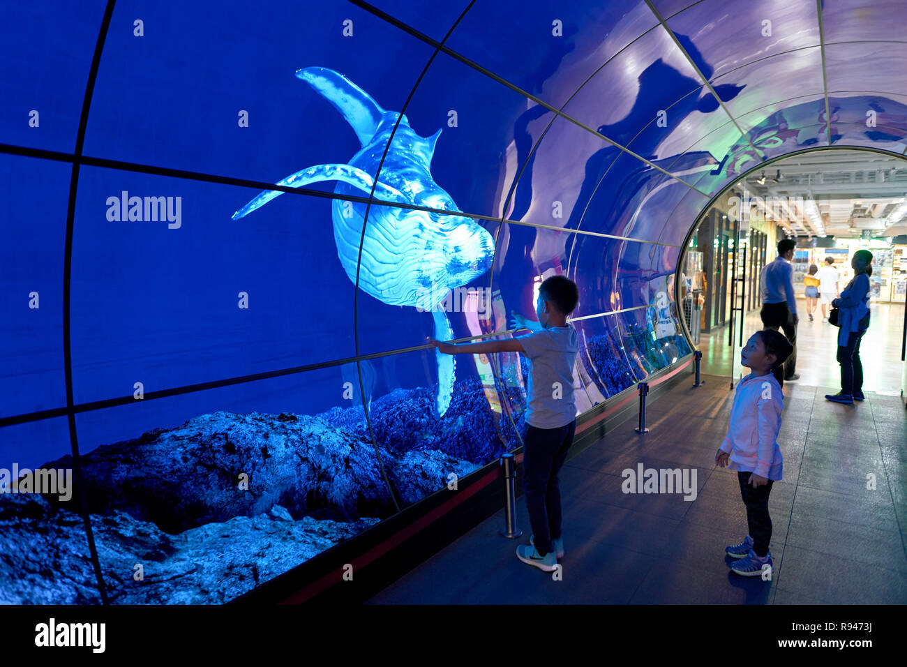 SEOUL, SOUTH KOREA - CIRCA JUNE, 2017: Namsan Seoul Tower 1F- OLED ...