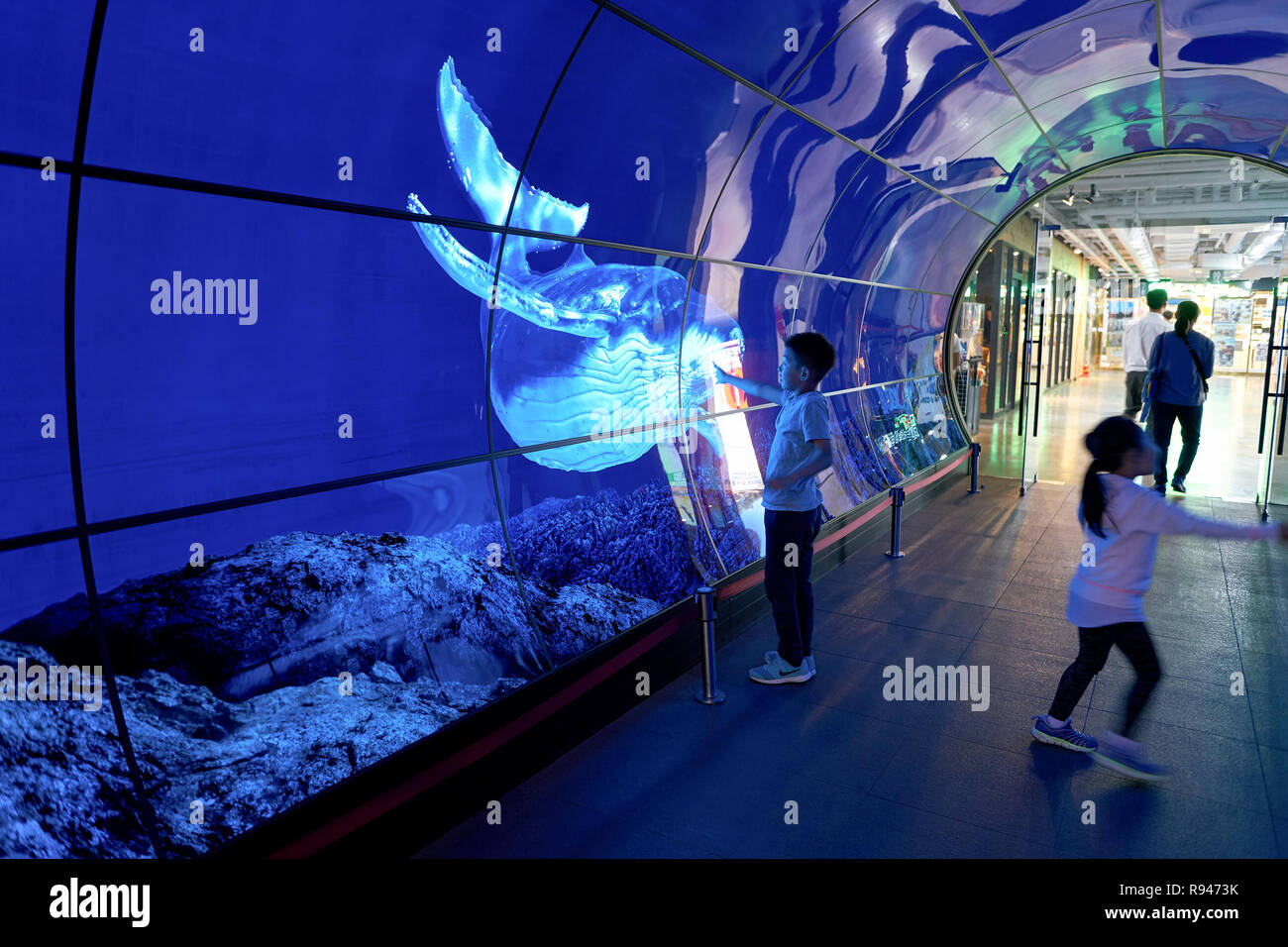 SEOUL, SOUTH KOREA - CIRCA JUNE, 2017: Namsan Seoul Tower 1F- OLED ...