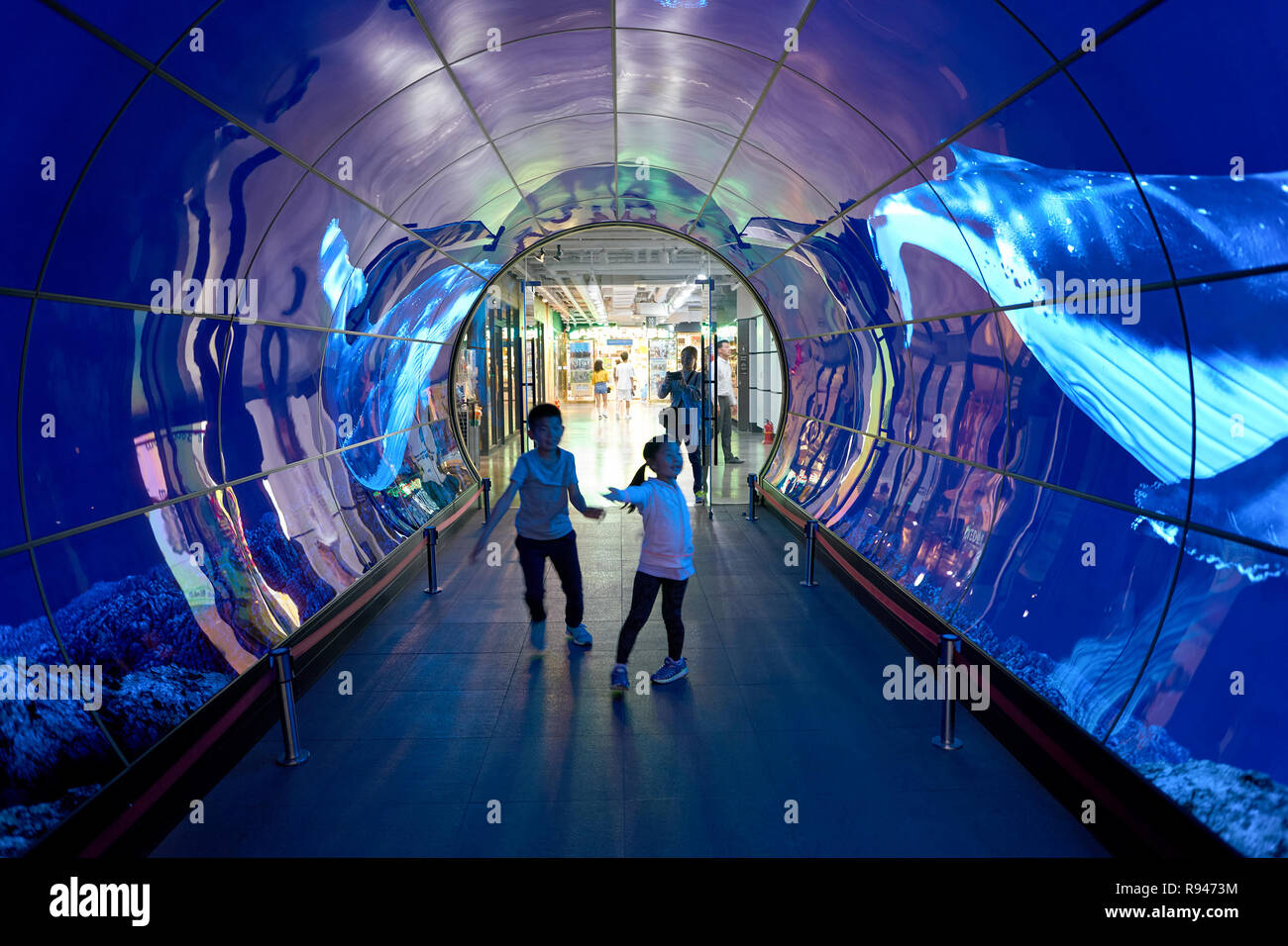 SEOUL, SOUTH KOREA - CIRCA JUNE, 2017: Namsan Seoul Tower 1F- OLED ...