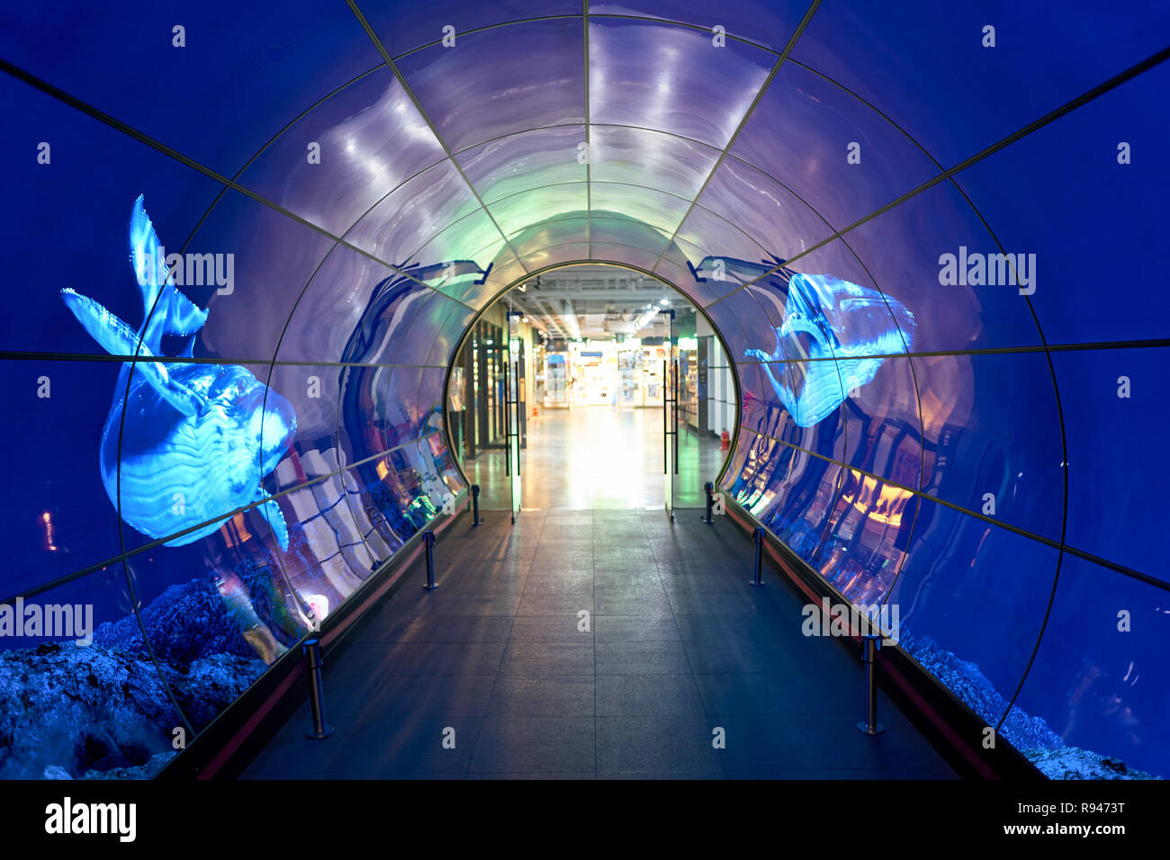 SEOUL, SOUTH KOREA - CIRCA JUNE, 2017: Namsan Seoul Tower 1F- OLED ...