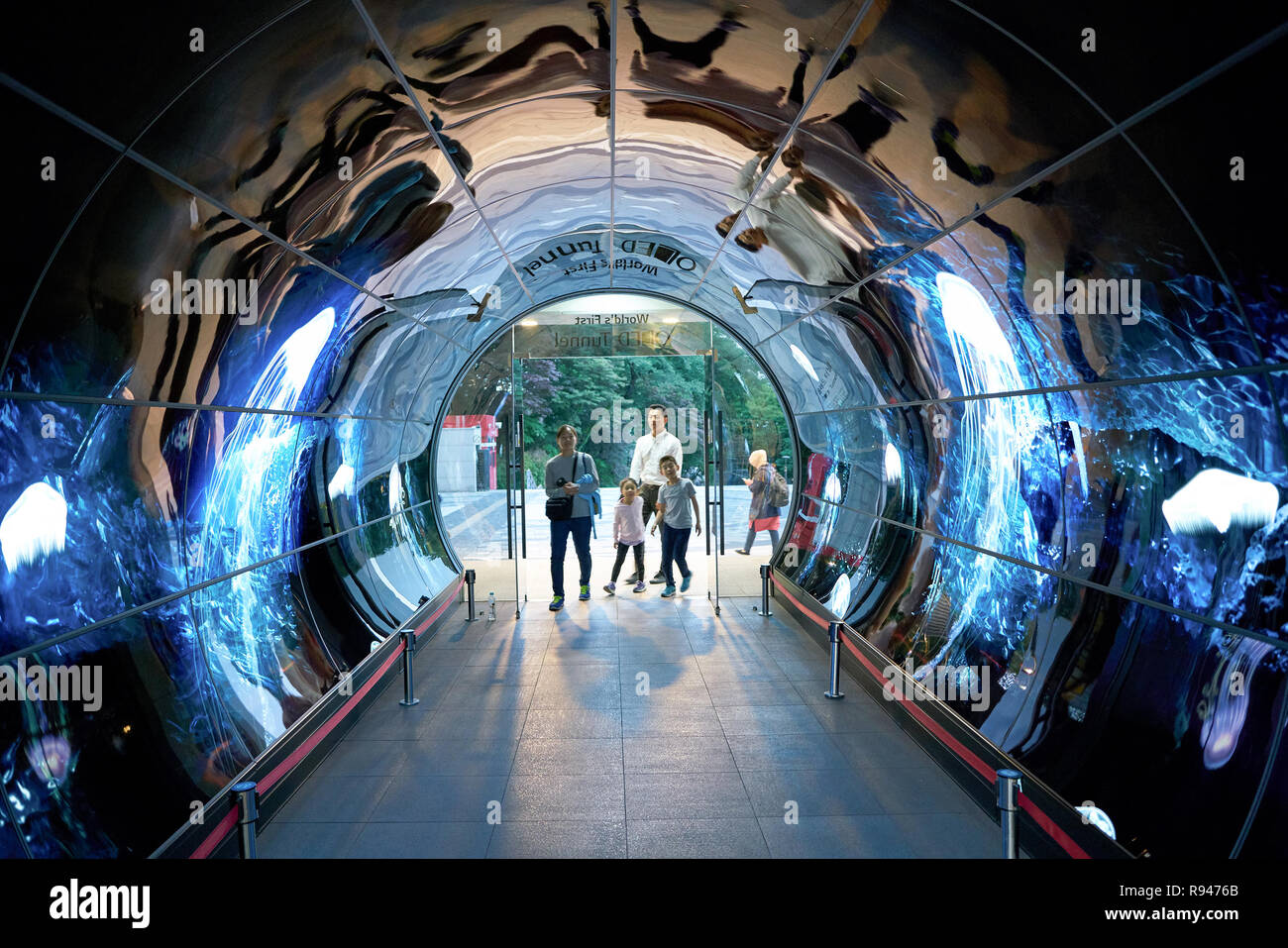 SEOUL, SOUTH KOREA - CIRCA JUNE, 2017: Namsan Seoul Tower 1F- OLED ...