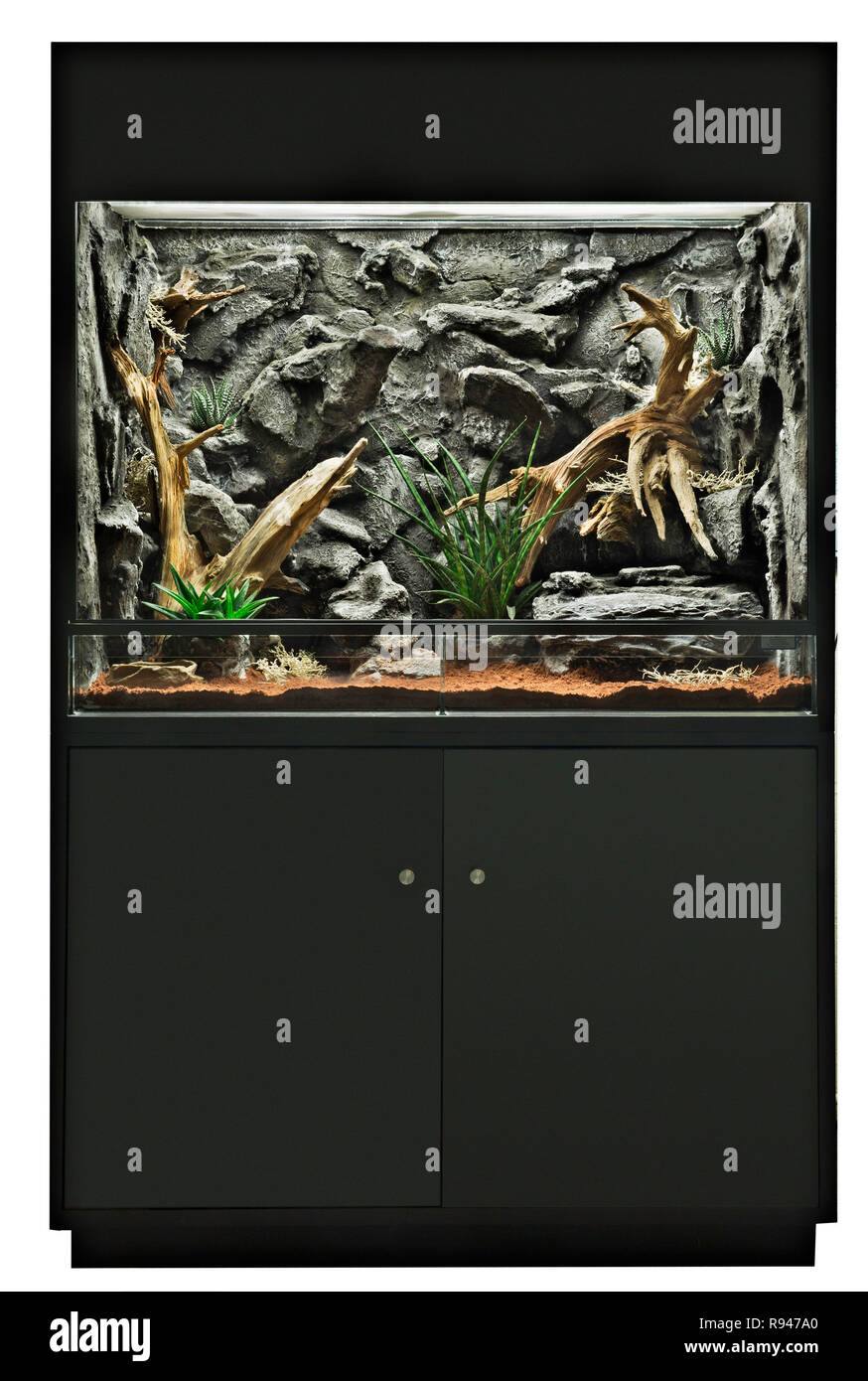 desert terrarium for lizards or snakes Stock Photo - Alamy