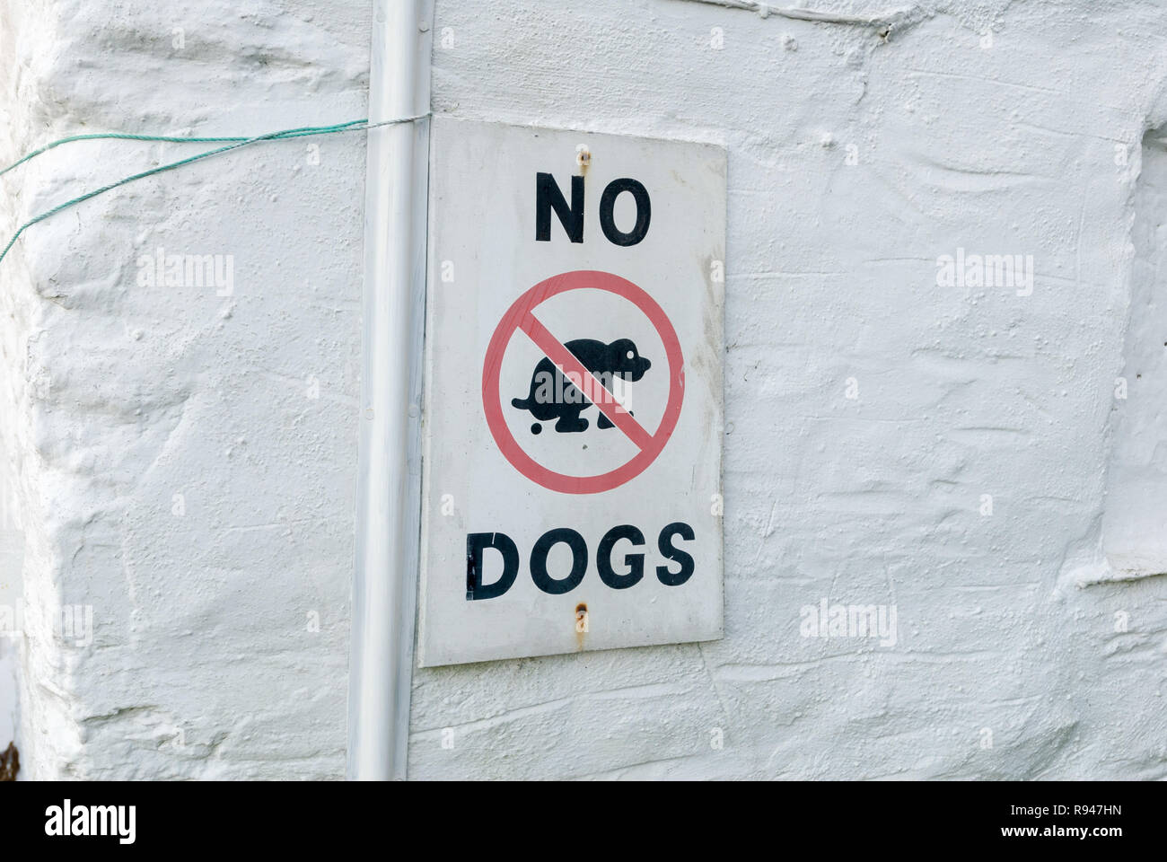 dog sign for no dog poo Stock Photo - Alamy