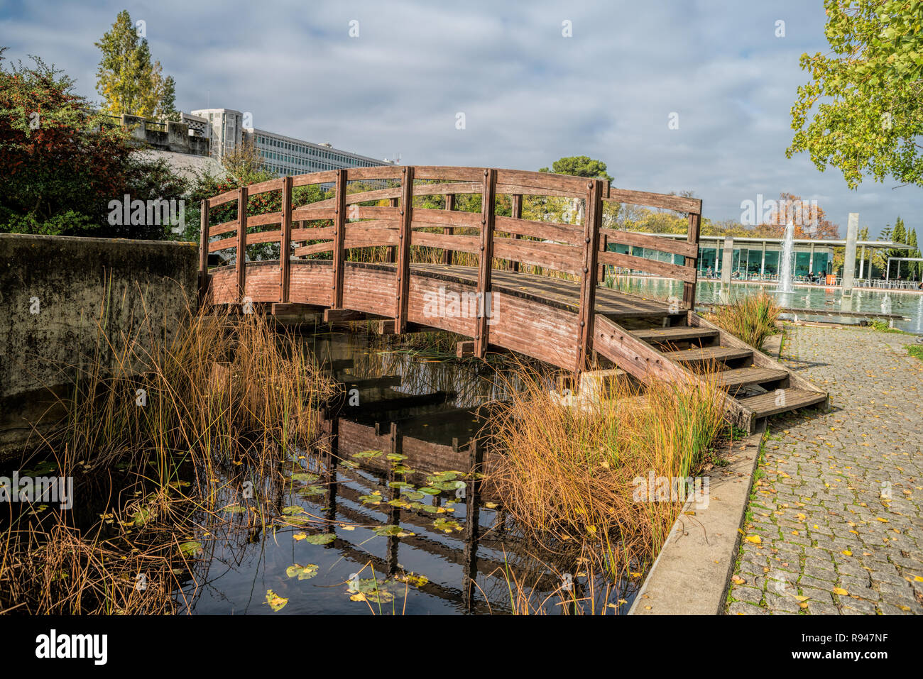 Beautiful wooden bridge across river Stock Photo - Alamy