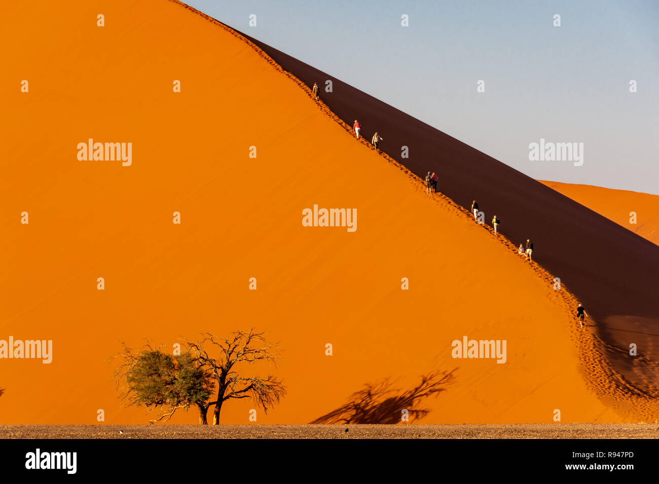 Namib dunes in Sossusvlei in the heart of Namibia, Africa Stock Photo ...