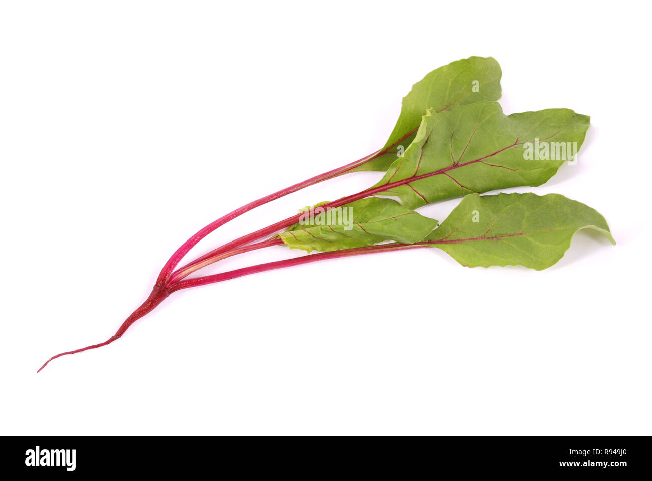 Fresh beets with earth and roots, with leaves, isolated on white ...