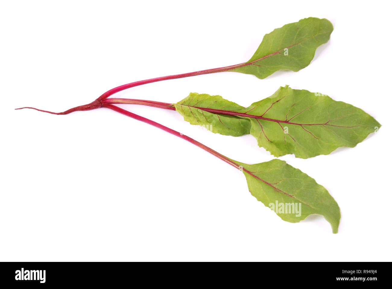 Fresh beets with earth and roots, with leaves, isolated on white ...