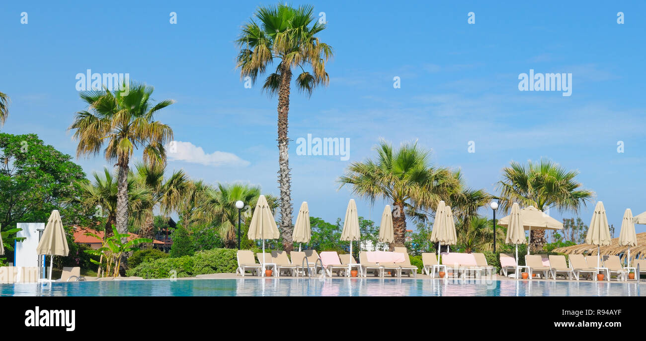 outdoor swimming pool, palm trees and a cozy area for sunbathing Stock ...